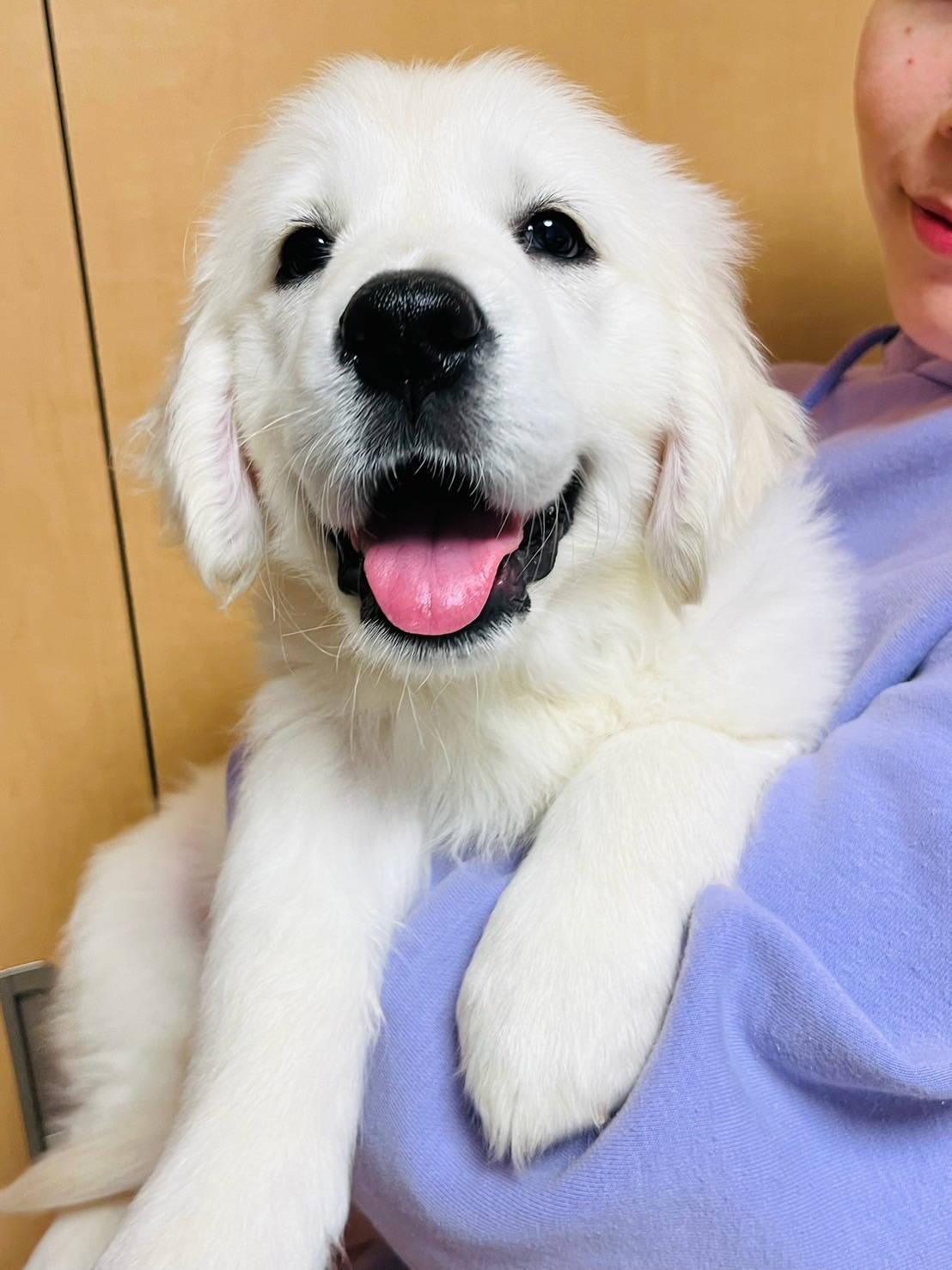 利用料金・店舗情報 – Share Hapi