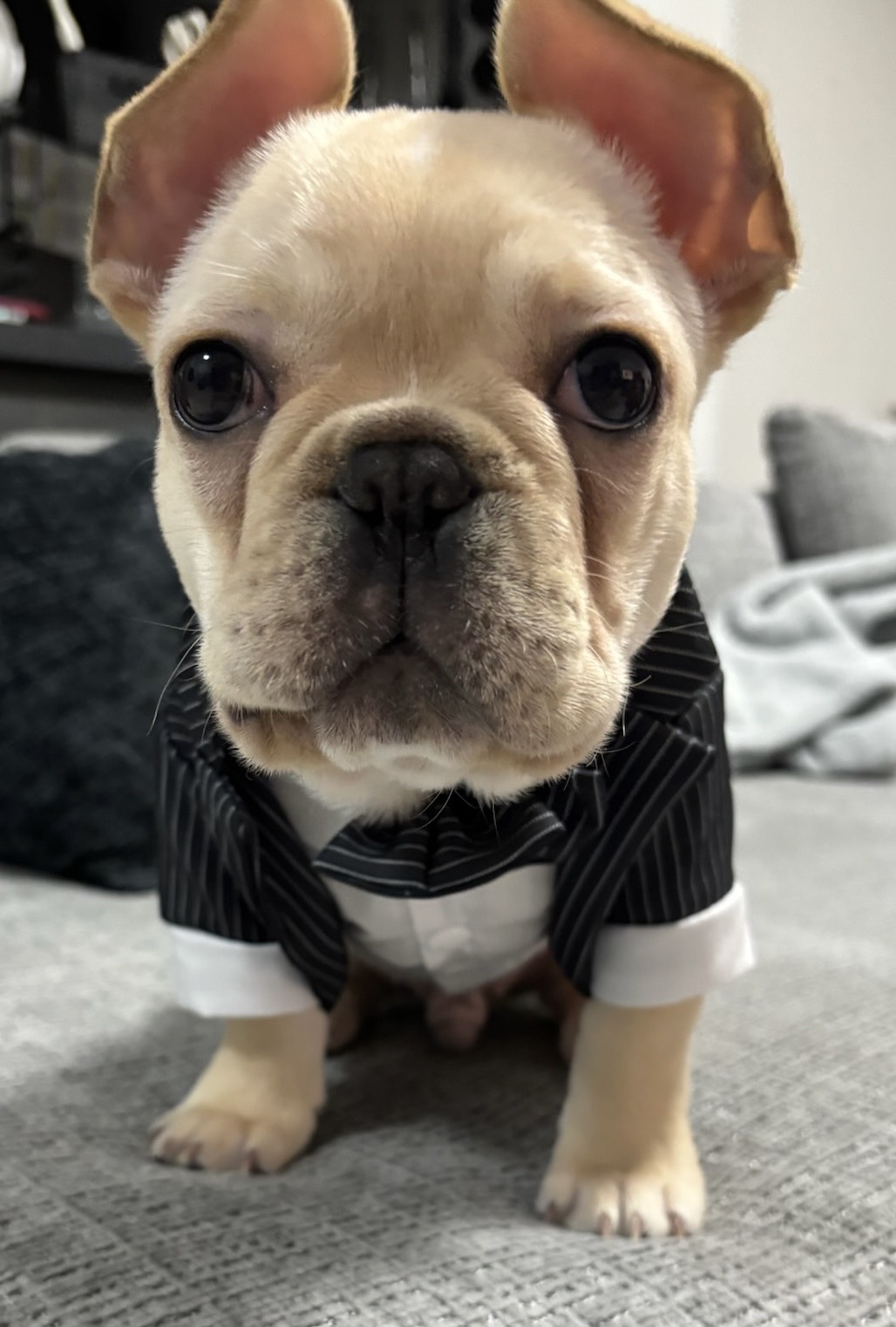 利用料金・店舗情報 – Share Hapi