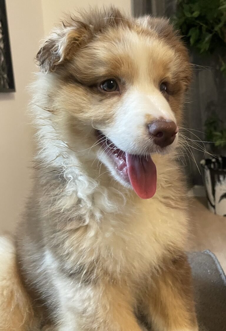 利用料金・店舗情報 – Share Hapi